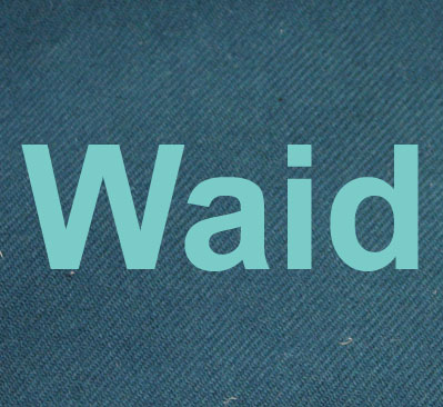 Die Zeitboten Färben mit Waid